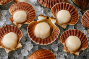 Everything You Need to Know About Scallops - The Dining Destination